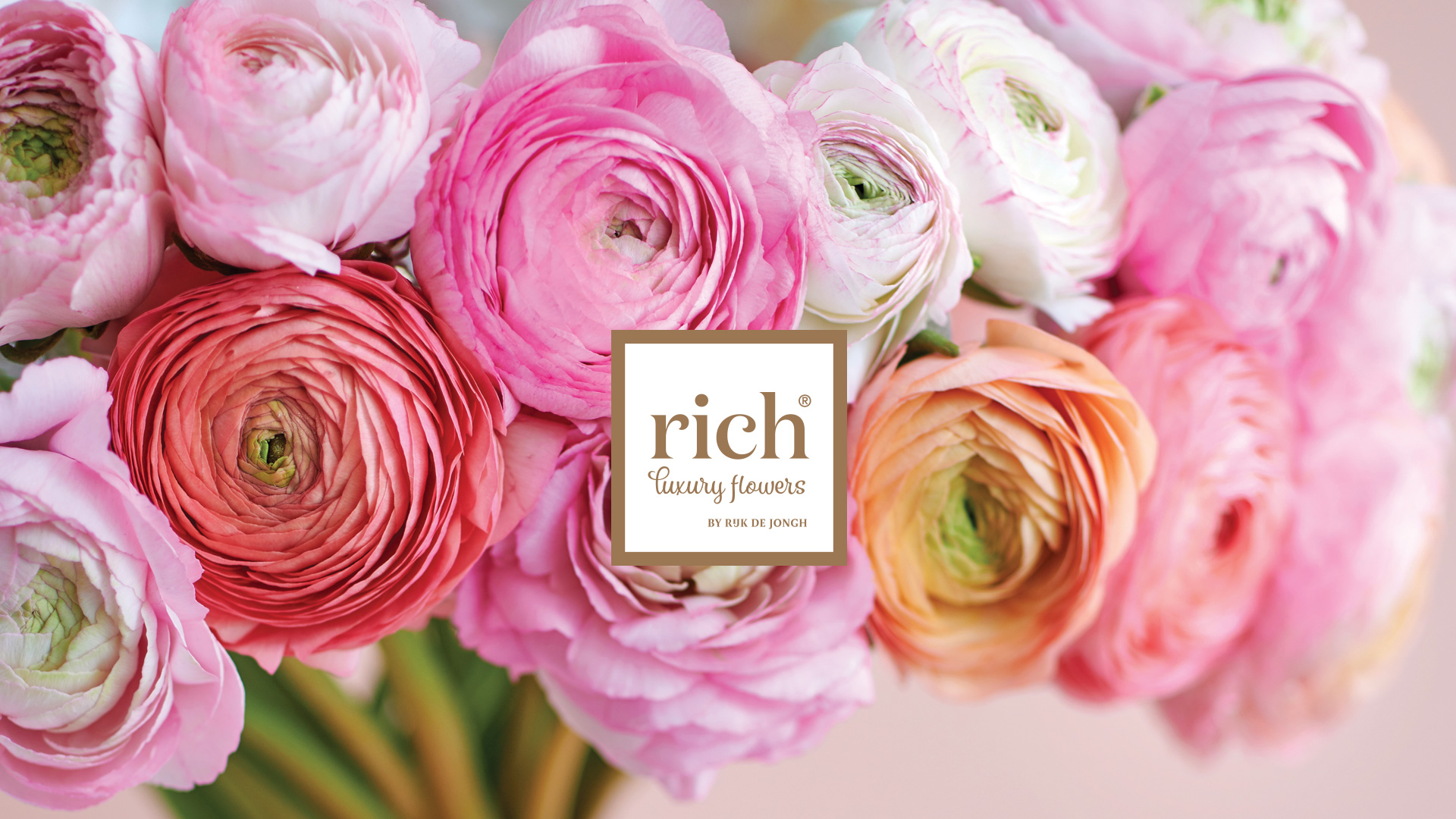 Rebranding RICH Luxury Flowers - PrimaLabel