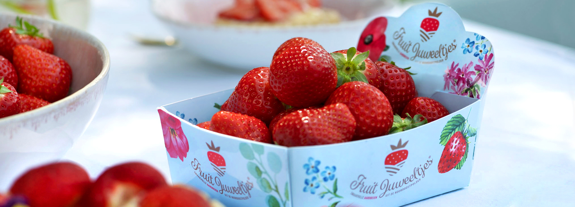 expertises - PrimaLabel