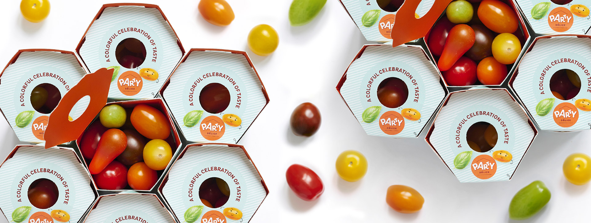 Projecten - PrimaLabel